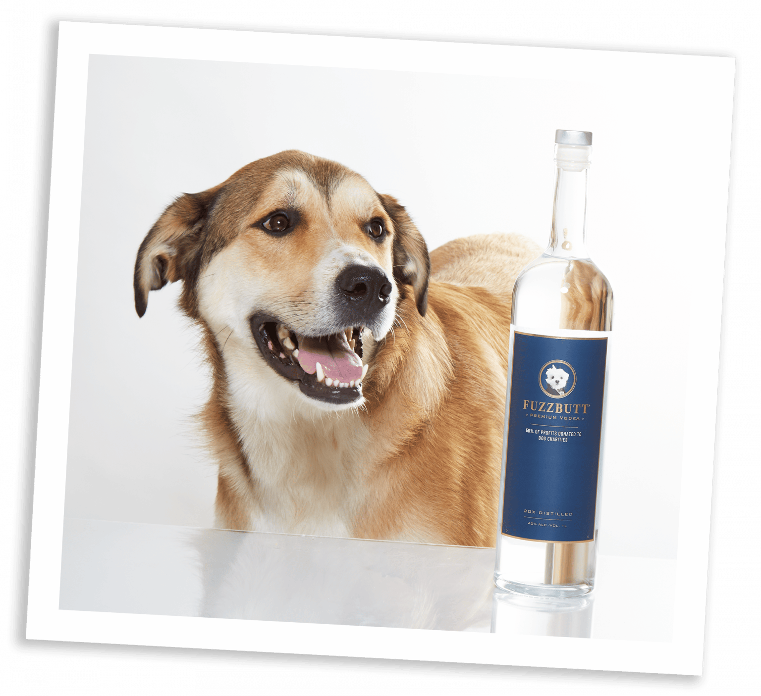 Fuzzbutt Premium Vodka